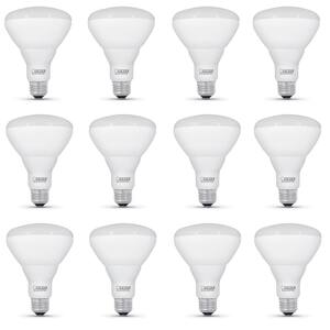 12 - LED Light Bulbs - Light Bulbs - The Home Depot