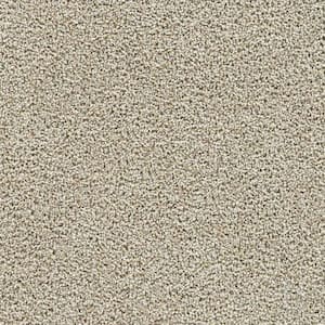 TrafficMaster 8 in. x 8 in. Texture Carpet Sample-Friendship Fables ...