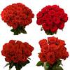 Globalrose Fresh Red Roses for Mother's Day (100 Stems) freedom-medium ...