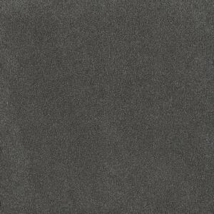 Home Decorators Collection 8 in. x 8 in. Texture Carpet Sample - First ...