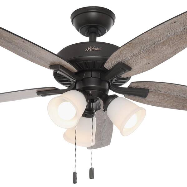 Hunter 48 Inch Ceiling Fan With Light | Shelly Lighting