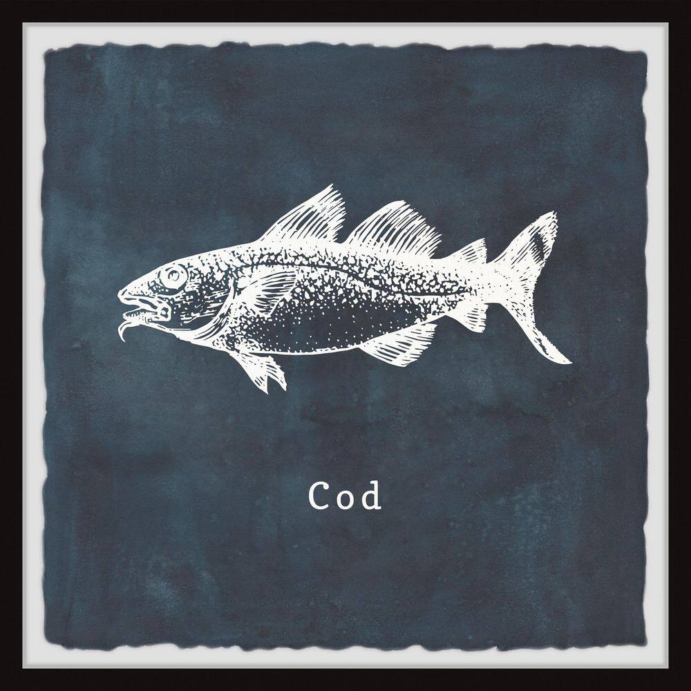 MARMONT HILL INC "Cod" by Marmont Hill Framed Animal Art Print 12 in. x ...