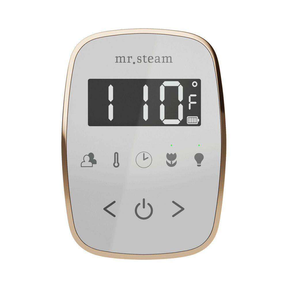 Mr. Steam ButlerTouch Steam Shower Control Package with TempoTouch ...