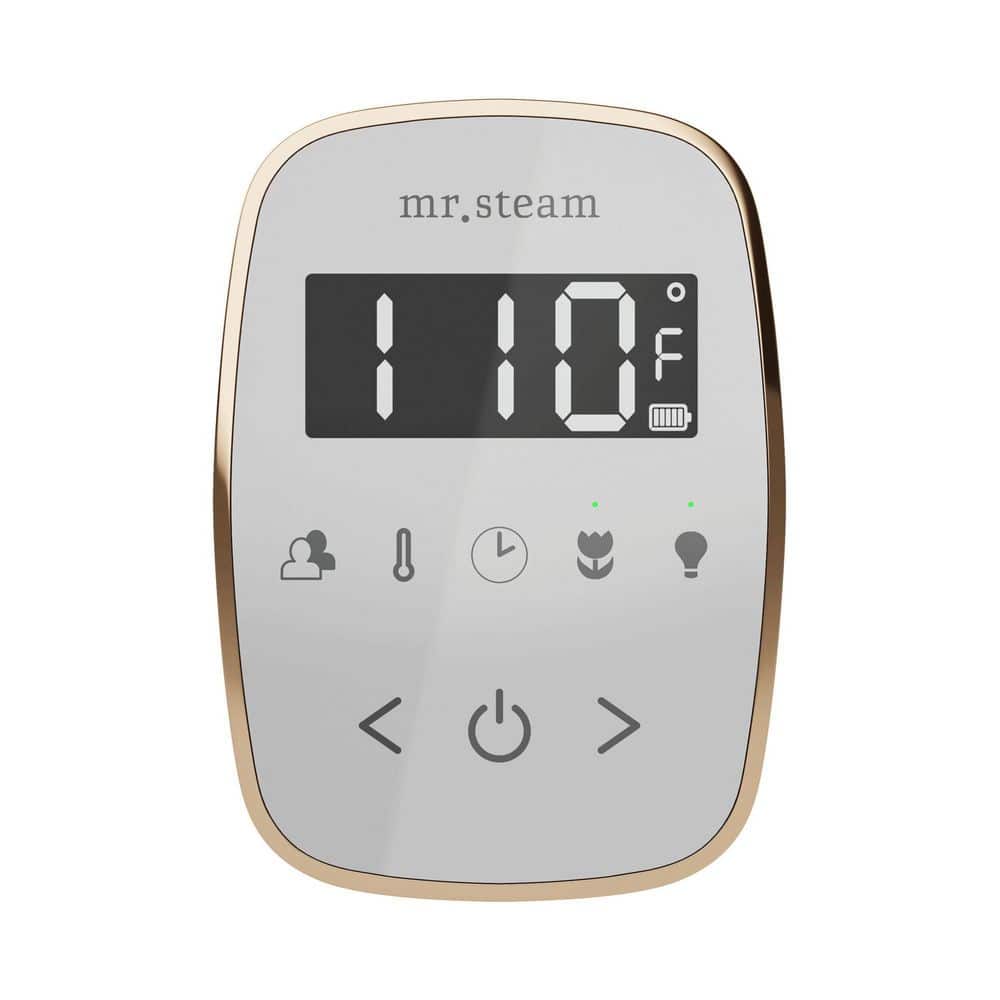 Mr. Steam ButlerFlex Steam Shower Control Package with TempoFlex ...