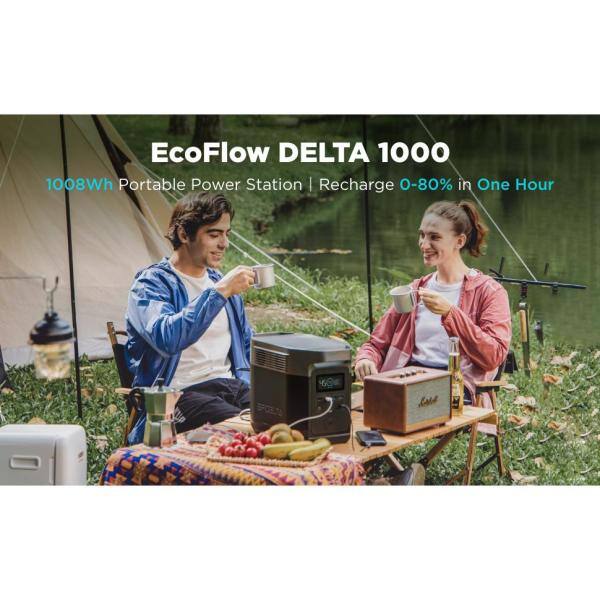 Buy DELTA 1000 1600-Watt Continuous 3300-Watt Peak 1006-Watt Push ...