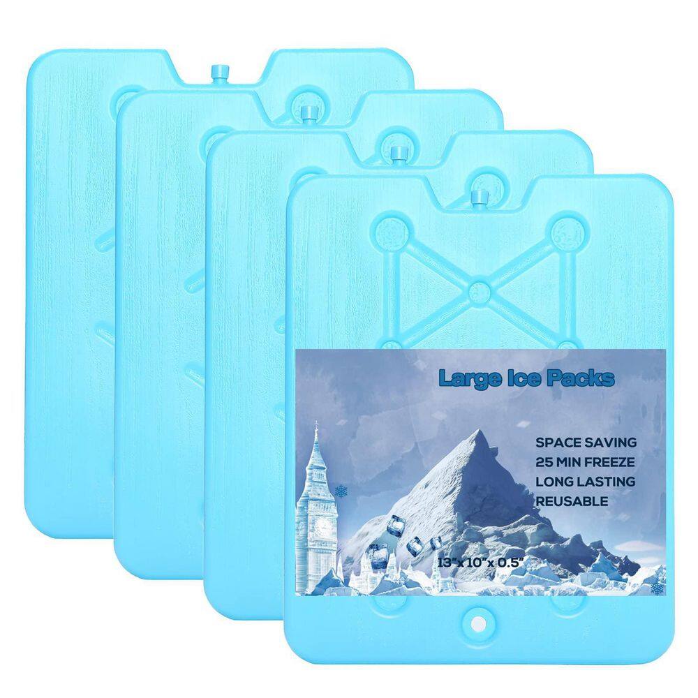 OGETFUUR 4-Piece 13 x 10 x 0.5 in. Large Quick Freeze Long Lasting ...