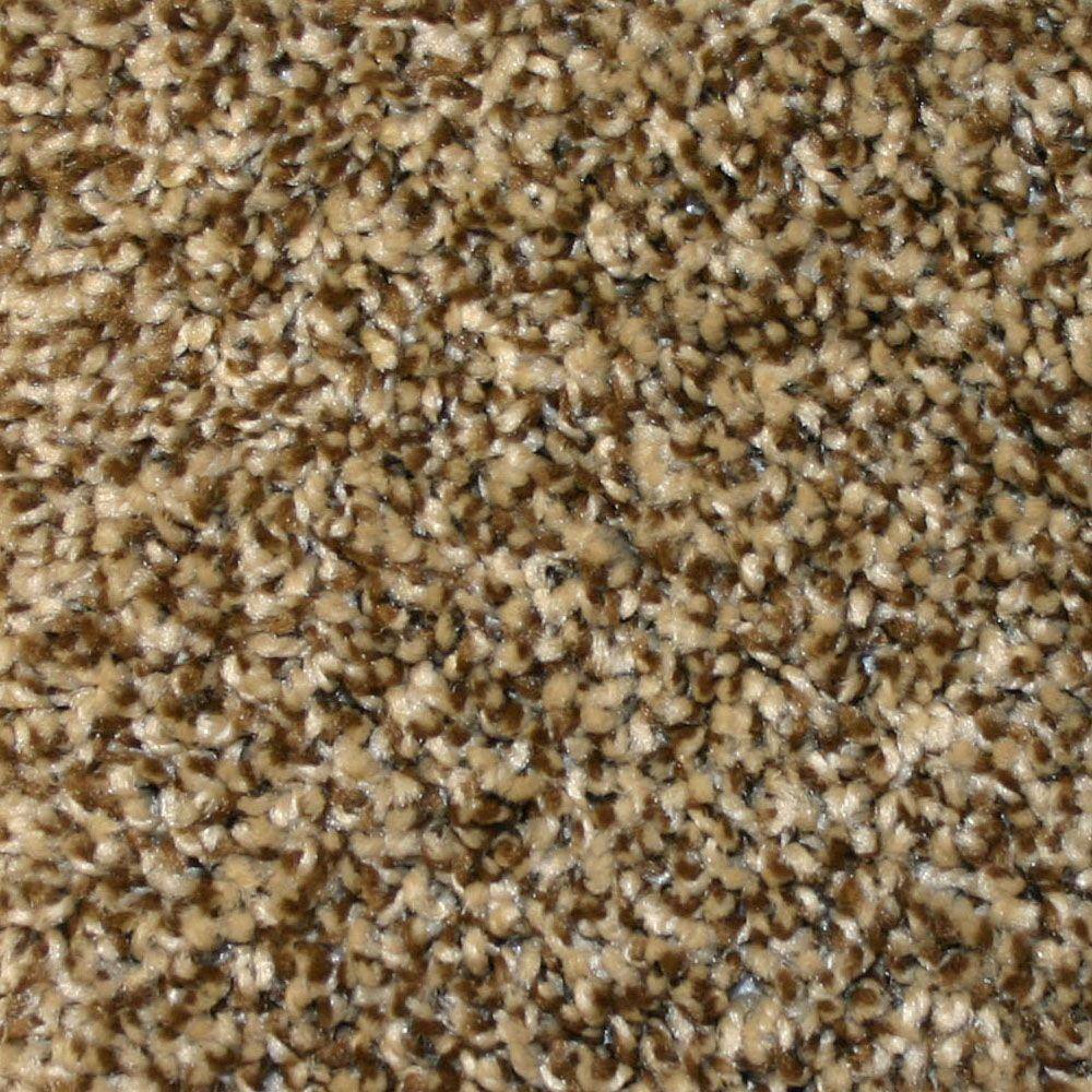 TrafficMaster Peace Of Mind - Color Espresso 12 ft. Carpet Kanga Back ...