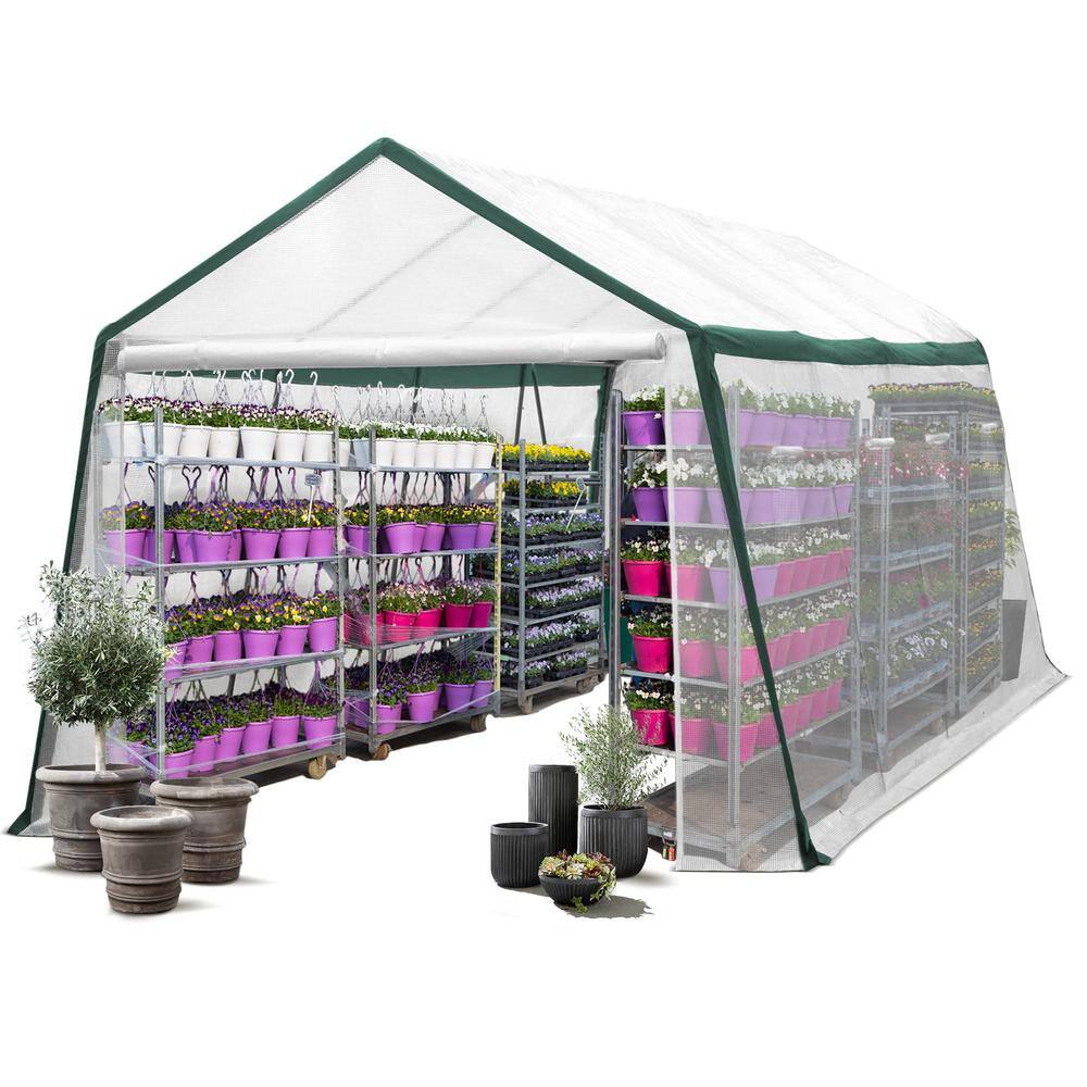 120 in. W x 240 in. D x 96 in. H, A-Shape Top Outdoor Greenhouse, 8 ...