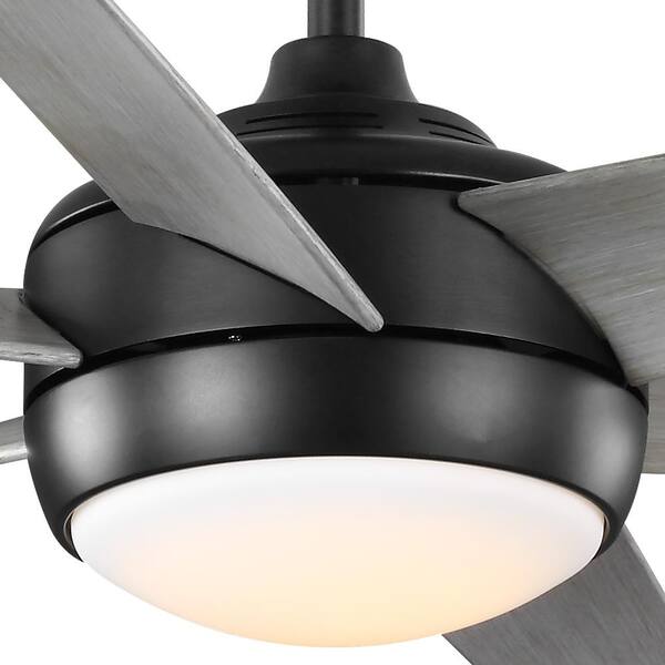 Windward Ceiling Fan White | Shelly Lighting
