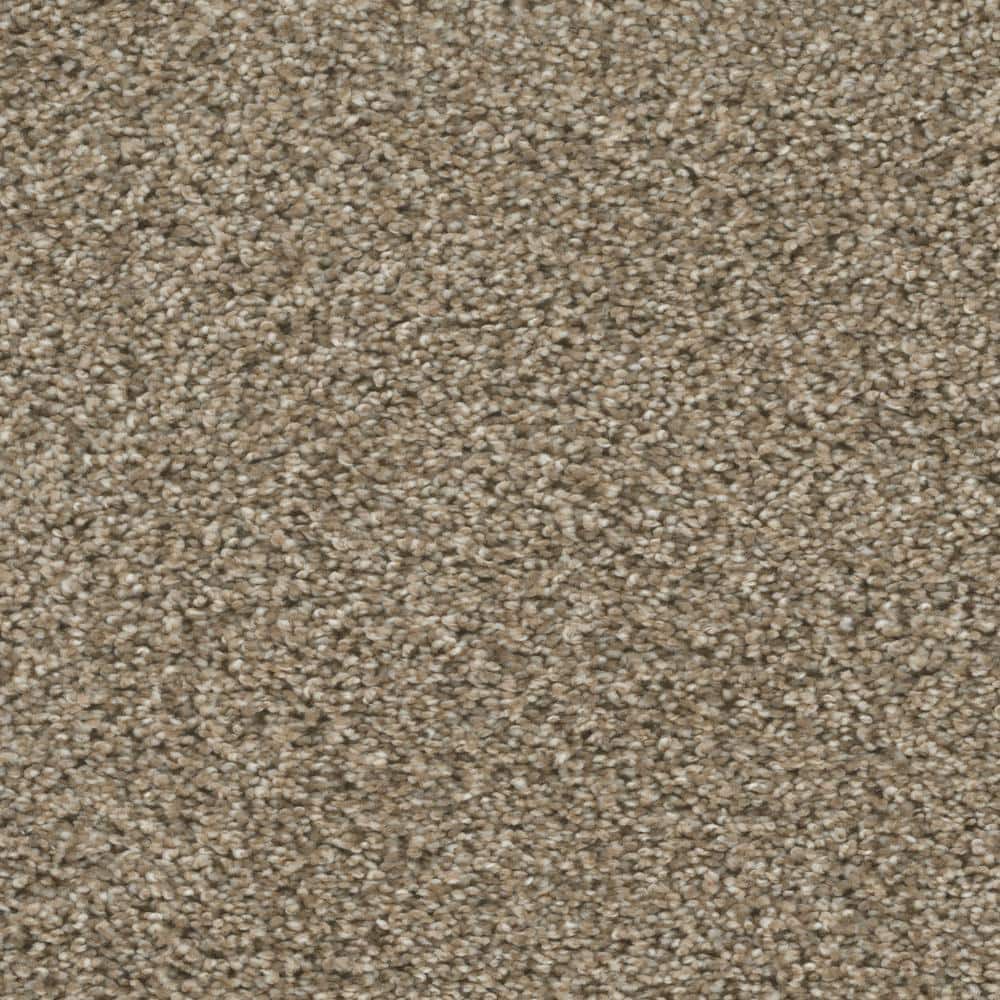 Home Decorators Collection 8 in. x 8 in. Texture Carpet Sample ...