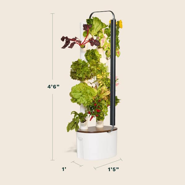 Gardyn Studio Hydroponics Growing System Kit and Vertical Planter, 16 ...