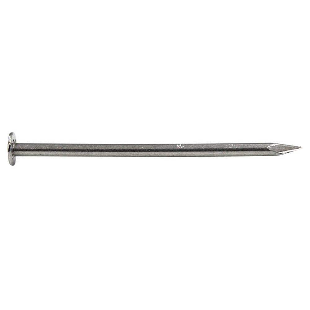 OOK #17 x 3/4 in. Steel Bright Wire Nails (183-Pack) 52609 - The Home Depot