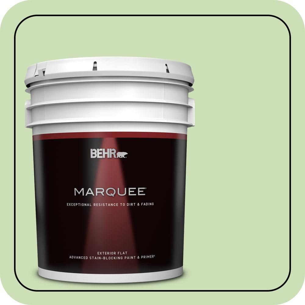 BEHR MARQUEE 5 gal. #430C-3 Peridot Flat Exterior Paint & Primer 445005 ...