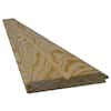 1 in. x 8 in. x 8 ft. Knotty WP4 /#116 Tongue and Groove Common ...