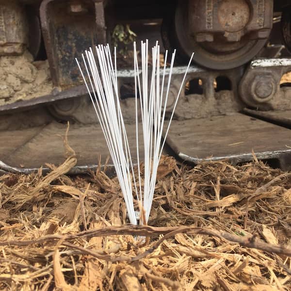 Property Line Markers Construction Flags Stake Chaser 6-Inch Plastic ...