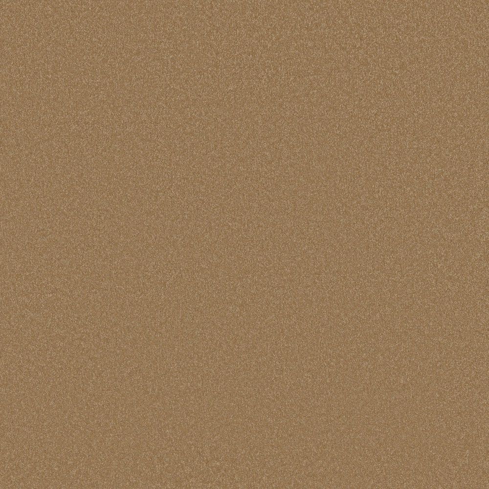 Lifeproof Park Royal II Solar Brown 52 oz. Nylon Texture Carpet ...