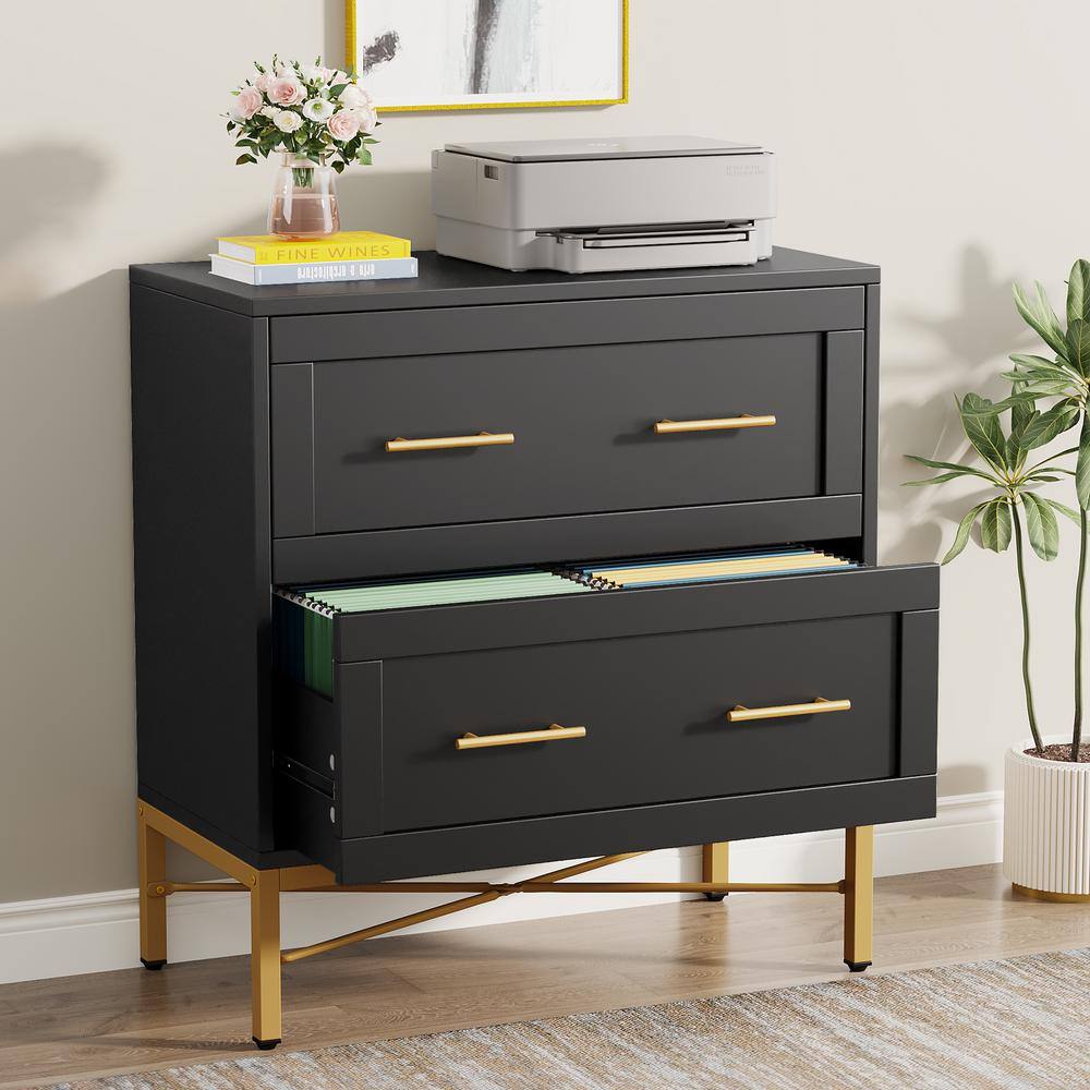 BYBLIGHT Atencio 2-Drawer Black Wood 32 in. W Lateral File Cabinet ...