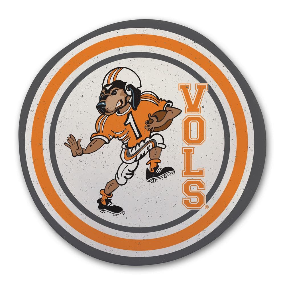 Magnolia Lane Tennessee Multicolor Melamine Dinner Plate (Set of 6) 21106