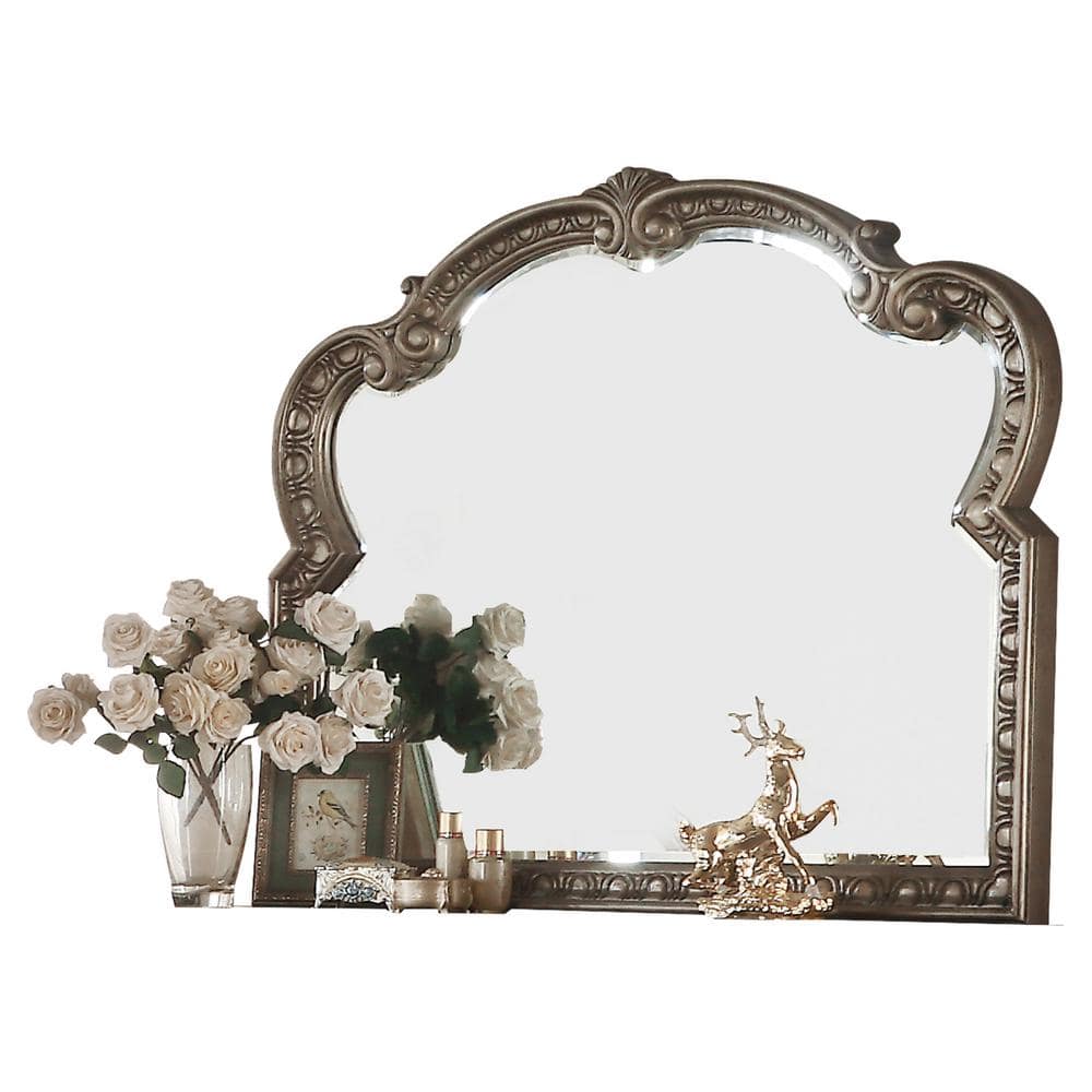 HomeRoots Large Irregular Antique Champagne Classic Mirror (41 in. H x ...