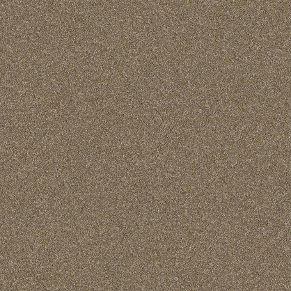 Reviews for TrafficMaster Alpine - Will Power - Brown 15 ft. 17.3 oz ...