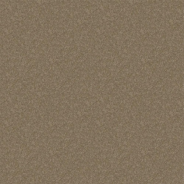 Reviews for TrafficMaster Alpine - Will Power - Brown 15 ft. 17.3 oz ...