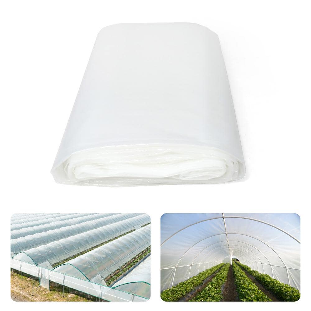 Fencer Wire 32 ft. x 50 ft. 6 mil Clear Greenhouse Plastic Sheeting, UV ...