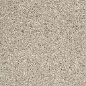 TrafficMaster 8 in. x 8 in. Texture Carpet Sample - Alpine - Color ...