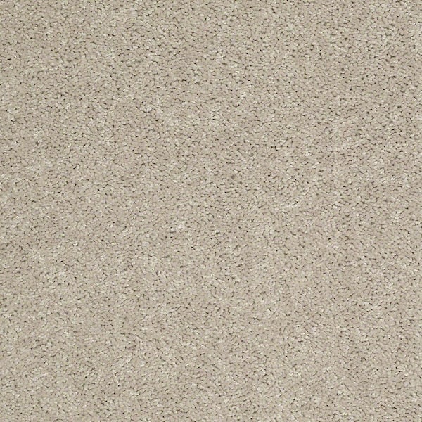 TrafficMaster 8 in. x 8 in. Texture Carpet Sample - Alpine - Color ...