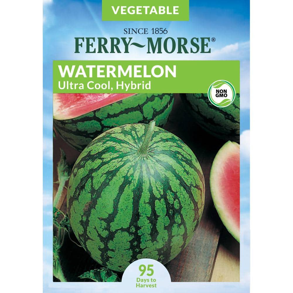 Ferry-Morse Watermelon Ultra Cool Hybrid Fruit Seeds 4061 - The Home Depot