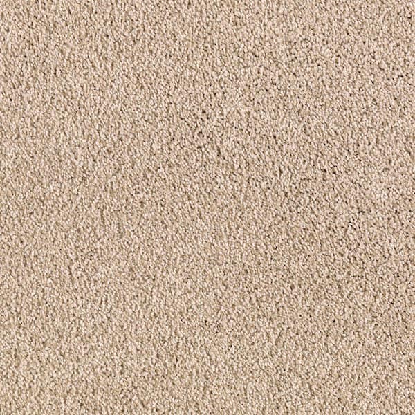 Home Decorators Collection Durst II - Color Beach Pebble Texture 12 ft ...
