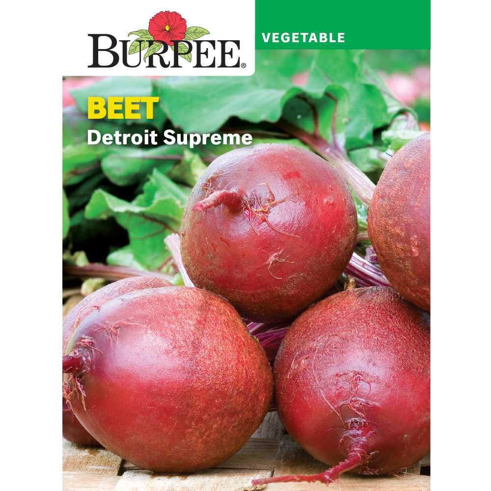 Burpee Garden Beet Detroit Supreme Vegetable Seed 52205 - The Home Depot