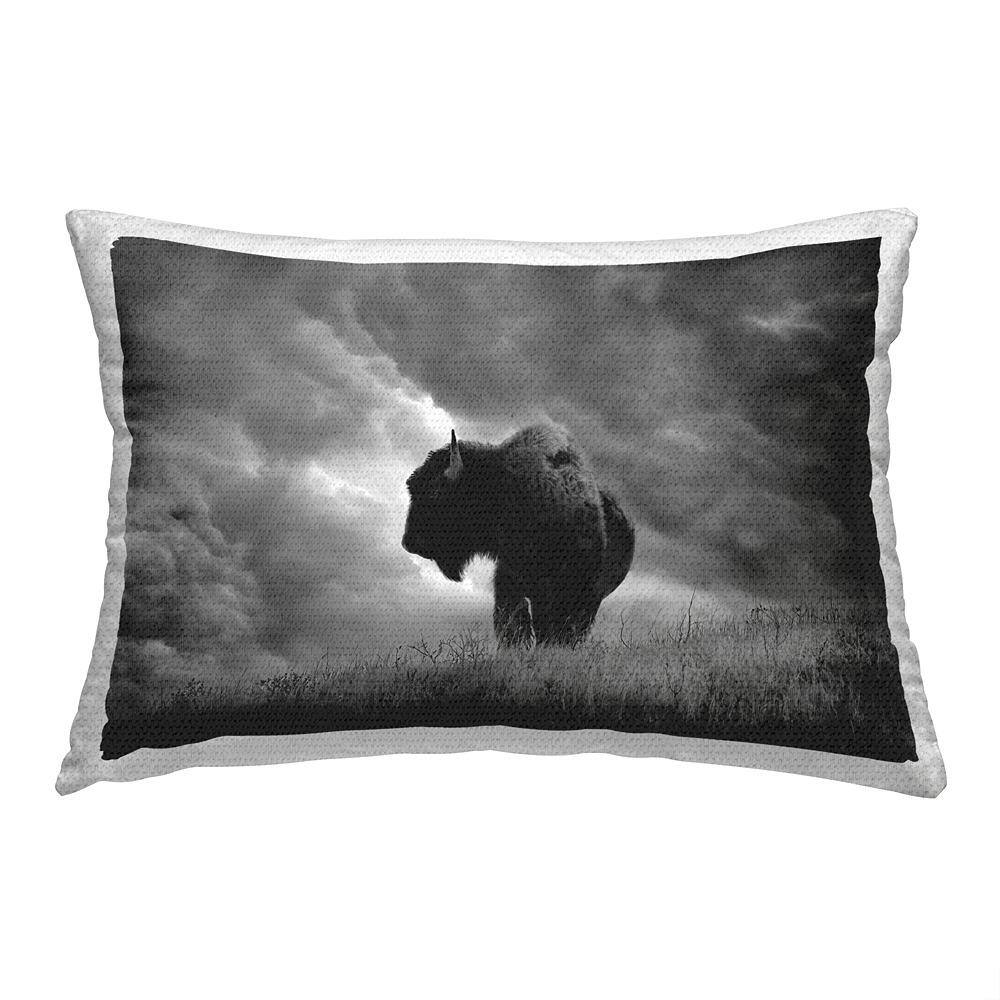 Stupell Industries Cloudy Bison Portrait Black Rectangular Outdoor ...
