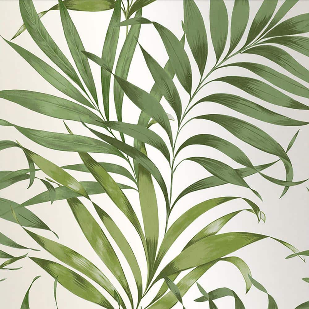 Graham & Brown Yasuni Lush Green and White Leaves Tropical Paste the ...