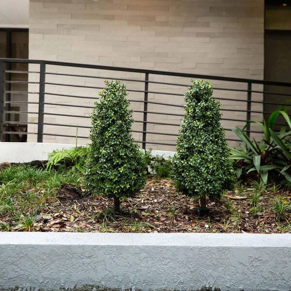 HOME IMPORTS EMPORIUM 3 ft. Artificial Boxwood Tree in Pot for Indoor ...