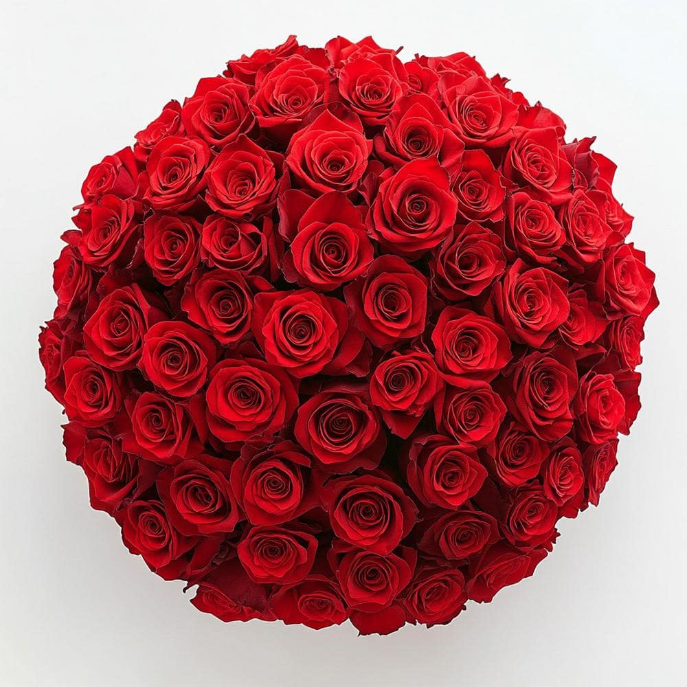 Globalrose 100 Stems - Fresh Cut Red Roses prime-100-red-roses - The ...
