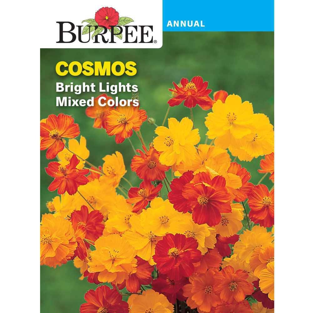 Burpee Cosmos Bright Lights Mixed Colors Flower Seed 36427 - The Home Depot