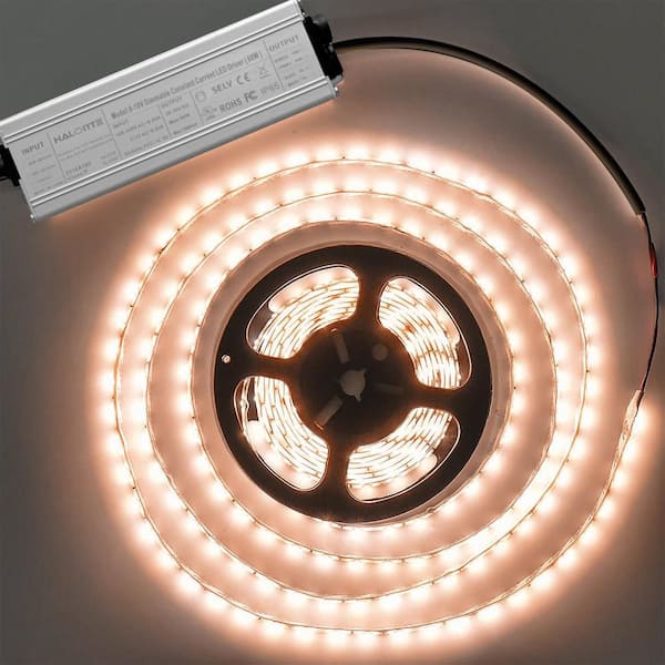 Haloitte 120-277V 60-Watt Constant Current LED Driver Output 28-54 Volt ...