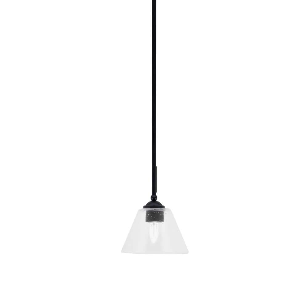 Clevelend 100-Watt 1-Light Black Pendant Mini Pendant Light with Clear ...