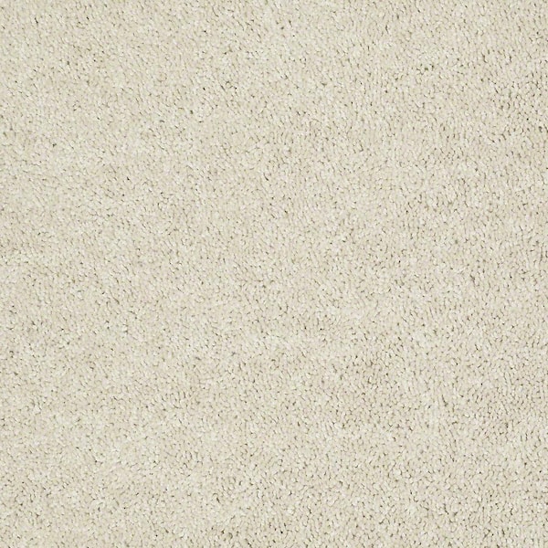 TrafficMaster 8 in. x 8 in. Texture Carpet Sample - Alpine - Color ...