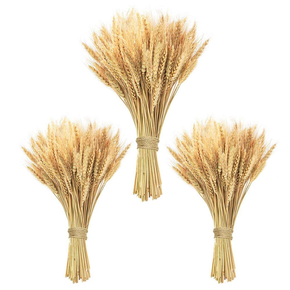 18 in. Natural Wheat Color Artificial Plant 300 Piece Dried Wheat ...