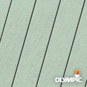 Olympic Rescue It 3 gal. White Deck Resurfacer and Primer with Sealant ...