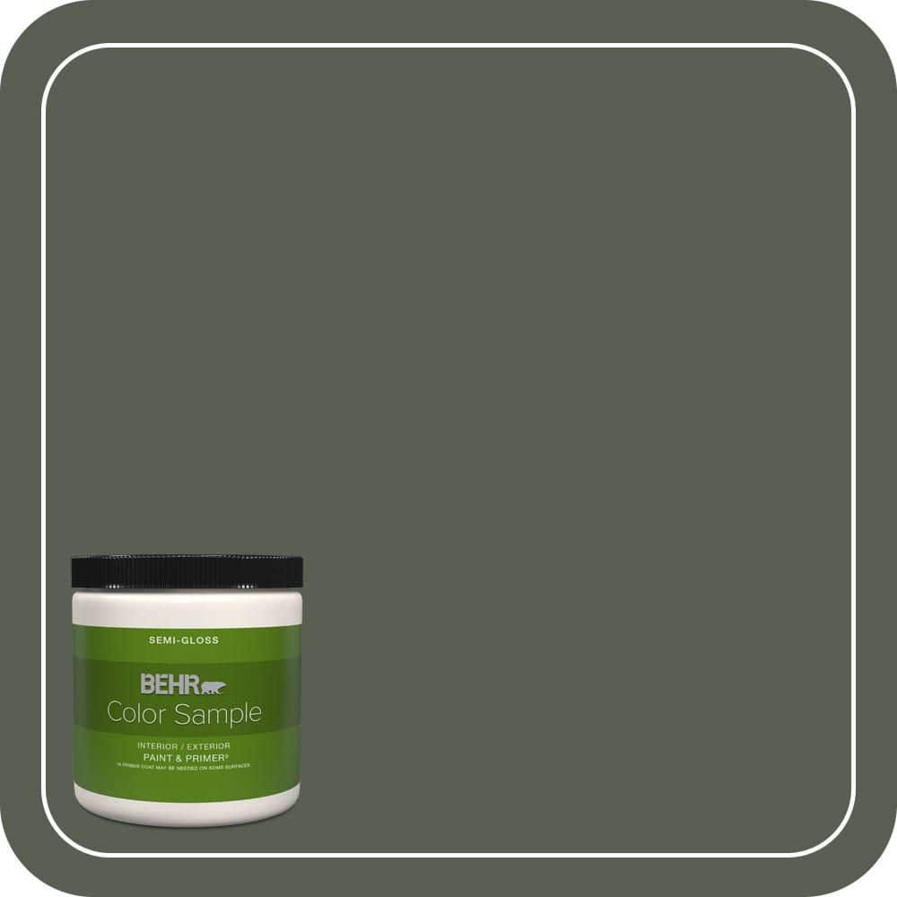BEHR PREMIUM PLUS 8 oz. #PPU10-20 Pastoral Semi-Gloss Interior/Exterior ...