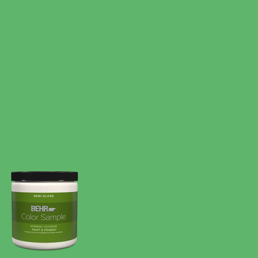 Lawn Paint Home Depot