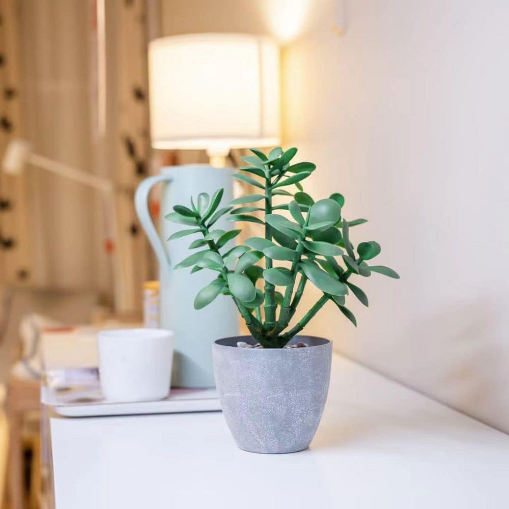 1 ft. Artificial Jade Tree LINBQ169 - The Home Depot