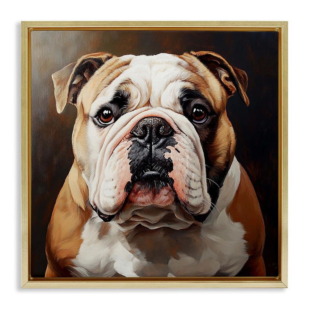 Stupell Industries Stoic Bulldog Portrait by Tom Crehan Gold Floater ...