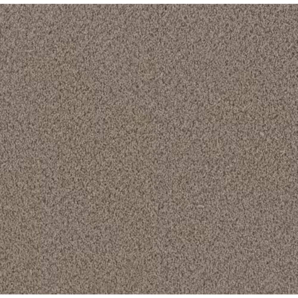 TrafficMaster 8 in. x 8 in. Texture Carpet Sample - Cay -Color Sand EF ...