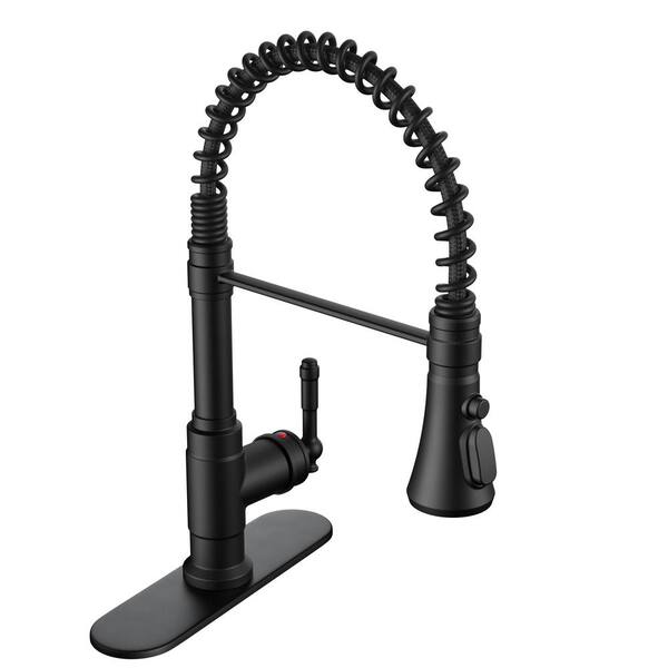androme Single Handle Pull Down Sprayer Kitchen Faucet with Deck Plate ...