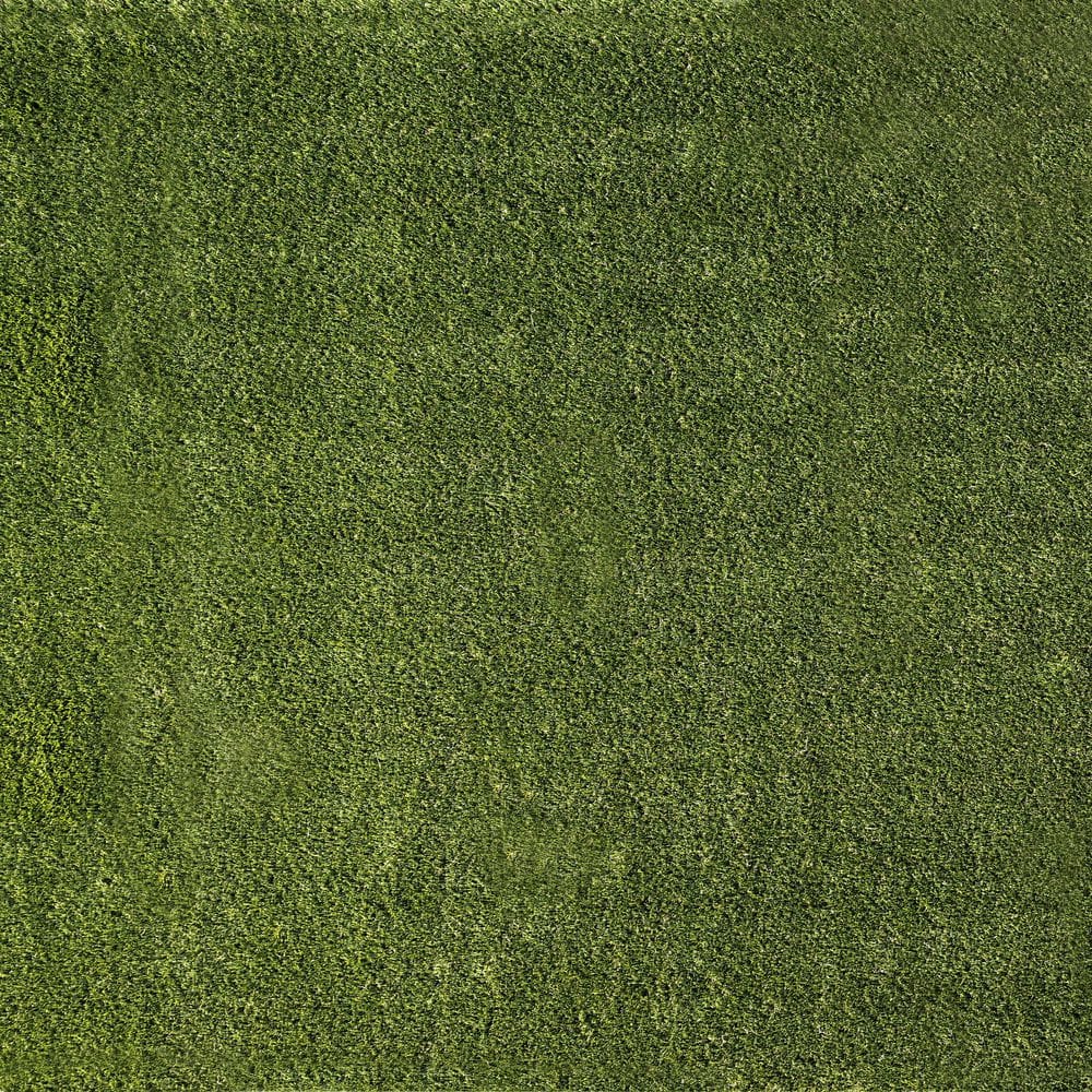 MSI Take Home Turf Sample - 4 in. x 4 in. Emerald Green Precut ...