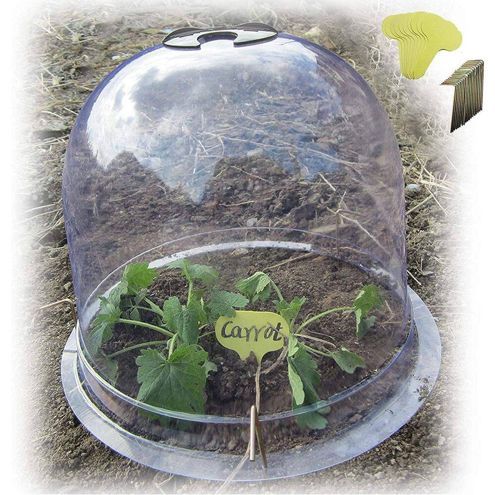 6-Pack Garden Bell Plant Dome Plastic Plant Protection Bell Jar 10 in ...