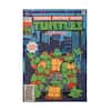 Nickelodeon Teenage Mutant Ninja Turtles Multi-Colored 5 ft. x 7 ft ...